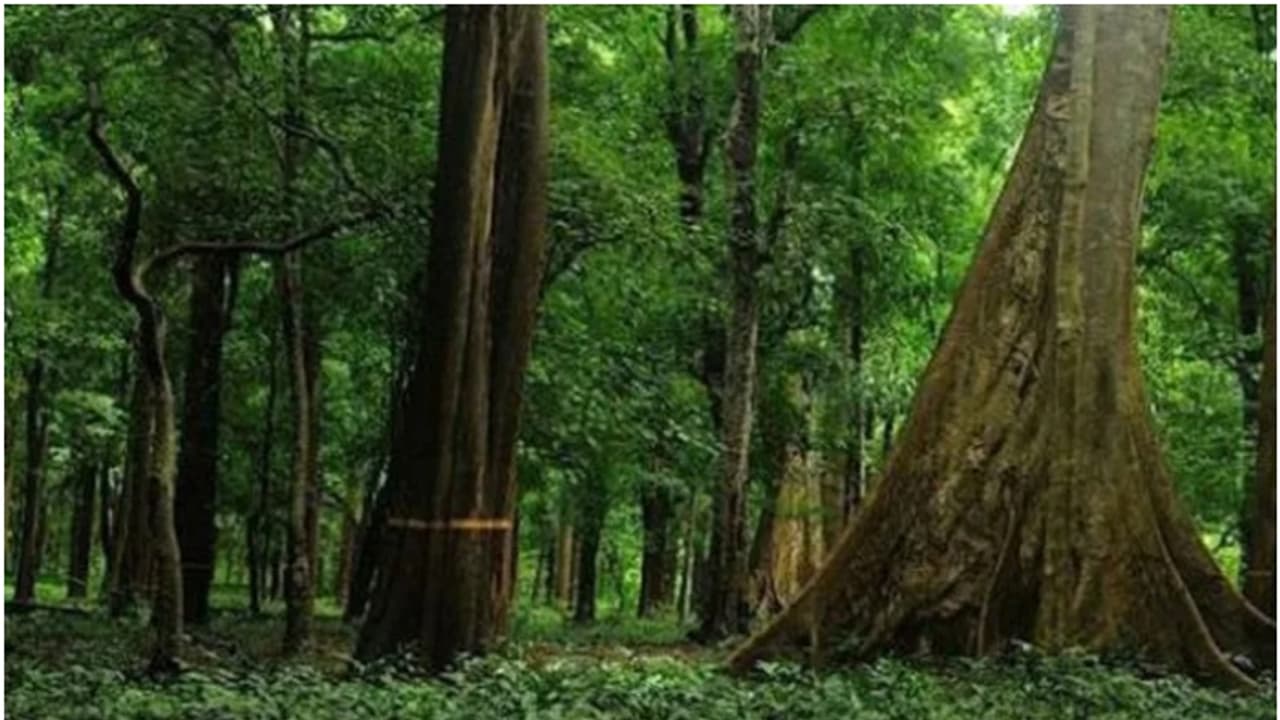 Nilambur Tourism development Gram Vihar project to attract tourists ...