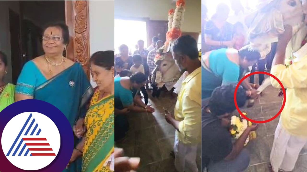 ಗೌಡಗೆರೆ ಚಾಮುಂಡೇಶ್ವರಿ ದೇವಾಲಯಕ್ಕೆ ನಟ ದರ್ಶನ್ ತಾಯಿ ಭೇಟಿ; ಬಸವ ಆಶೀರ್ವಾದ ಪಡೆದ ...