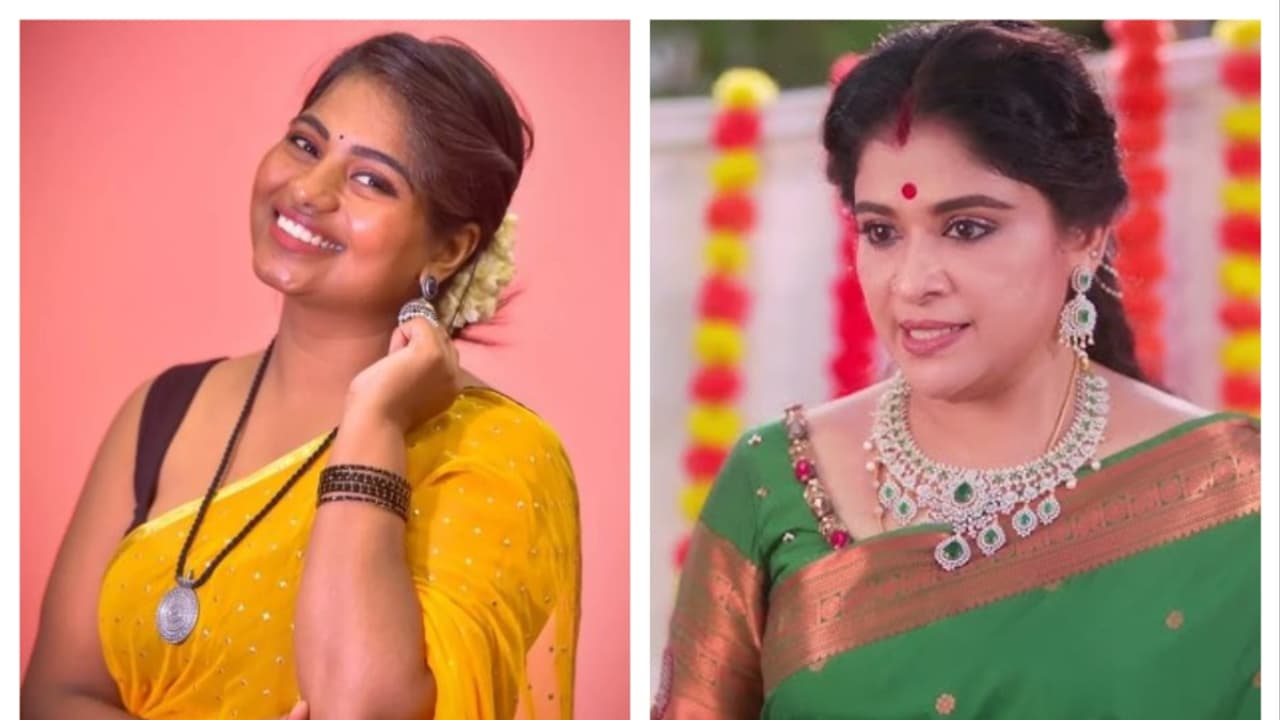 Top 5 Serial Villi Actress: சன் டிவி சீரியலில் கொடூர வில்லியாக ...