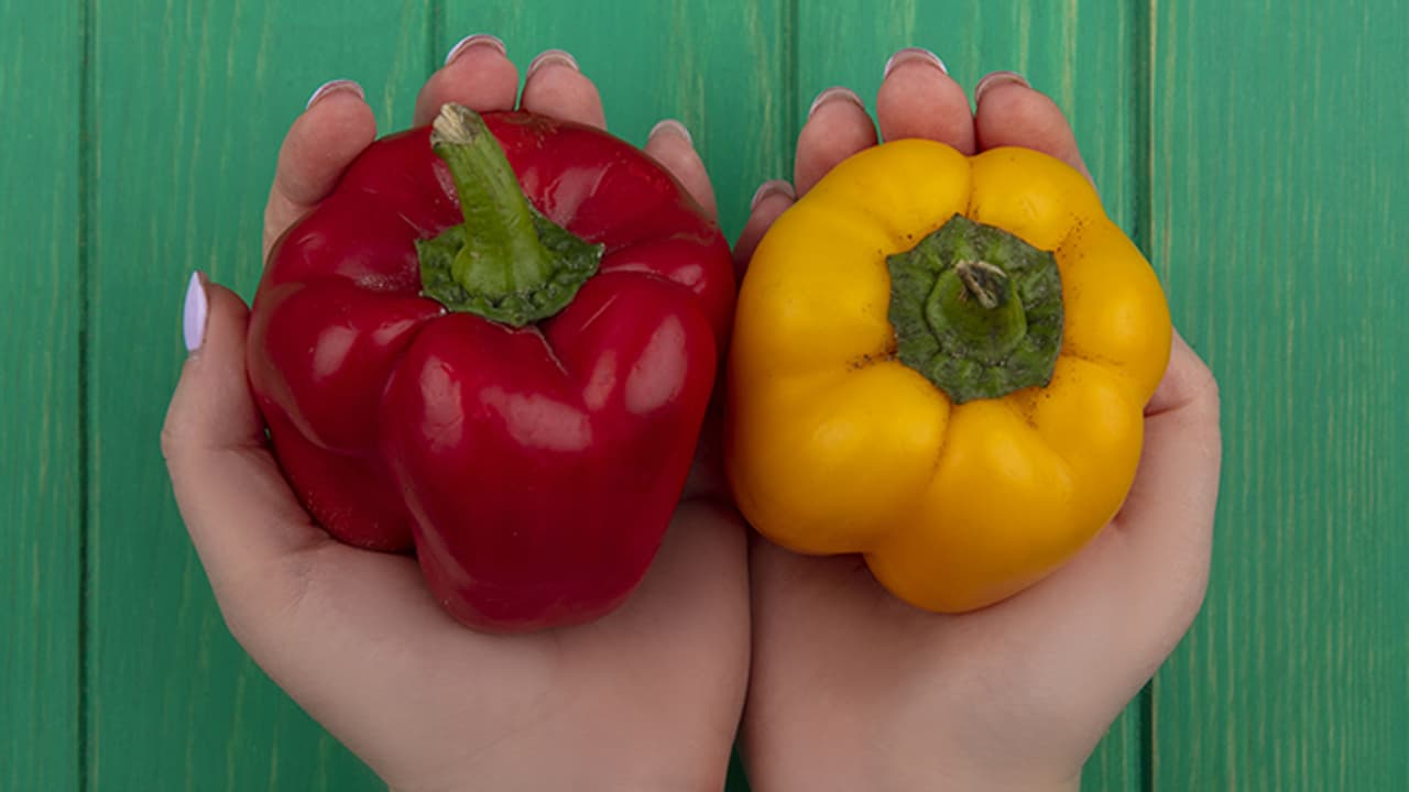 Male vs Female Capsicum: जानें कौन सी शिमला मिर्च होती है तीखी, कौन सी ...