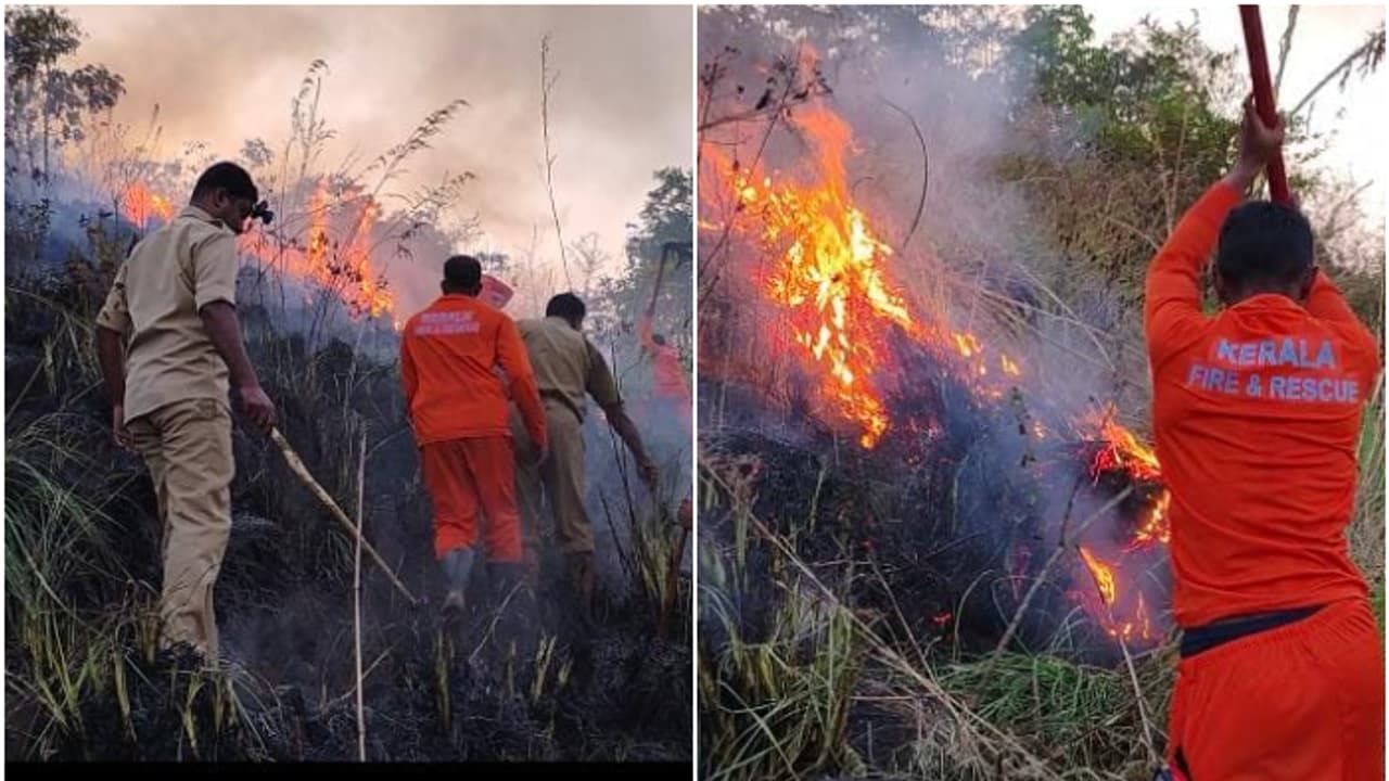 മുക്കത്തുനിന്നും കിലോമീറ്റർ അകലെ തീ കത്തുന്നത് പാലത്തിൽ നിന്ന യുവാവ് ...