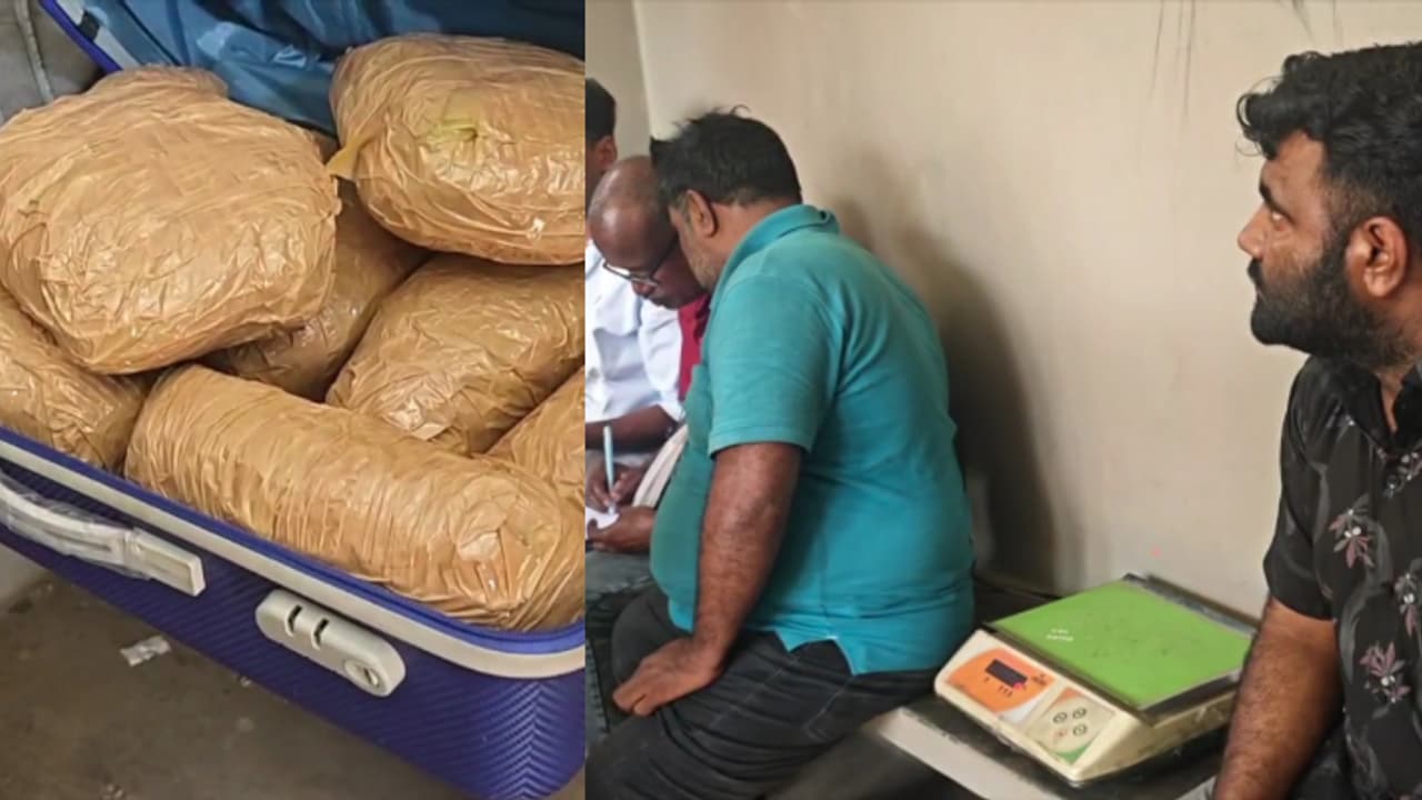 Packets of ganja found in suitcase:സ്യൂട്ട് കേയ്സും ബാഗുമായി രണ്ടു പേ ...