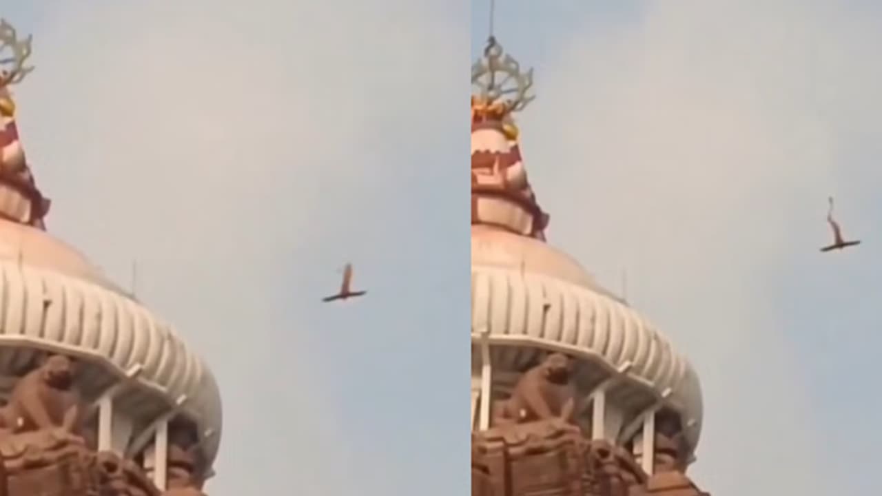 পুরীর জগন্নাথ মন্দিরের ধ্বজ নিয়ে পালাল পাখি! অশুভ কিছু ঘটতে চলেছে ...