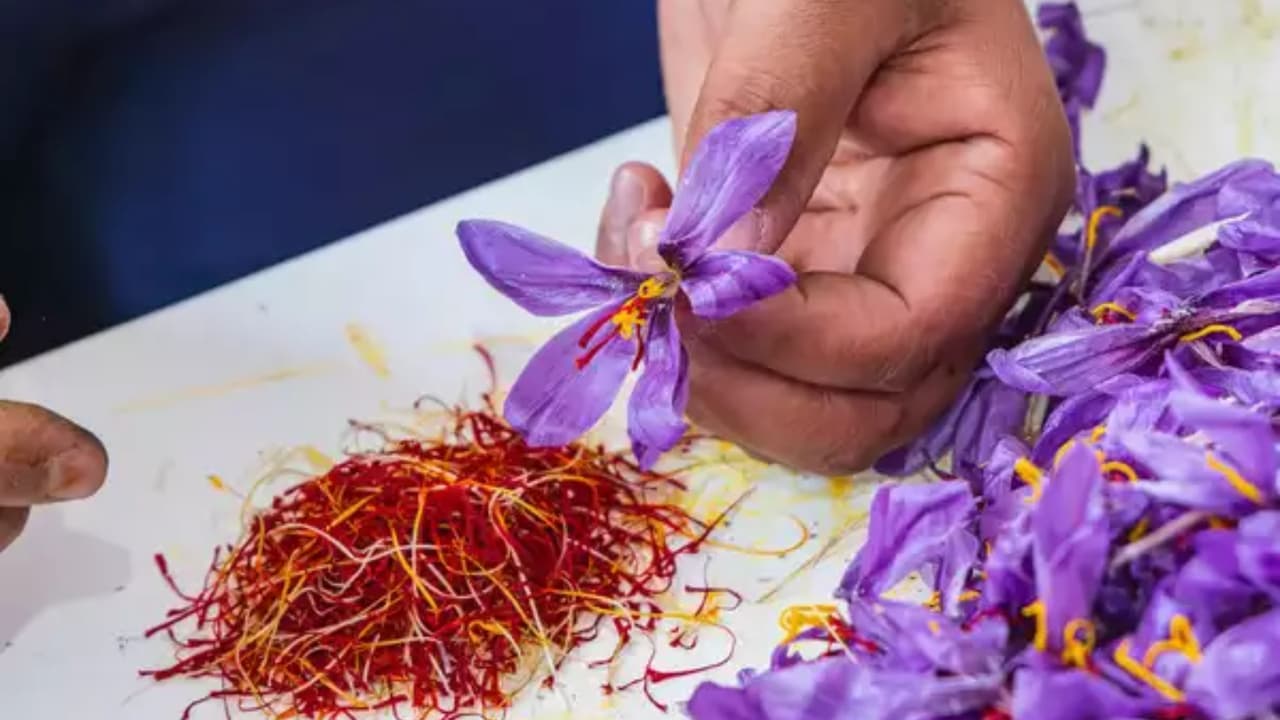 शुद्ध केशर कसे ओखळावे? वाचा खास टिप्स | How To Check Pure Kesar Read ...