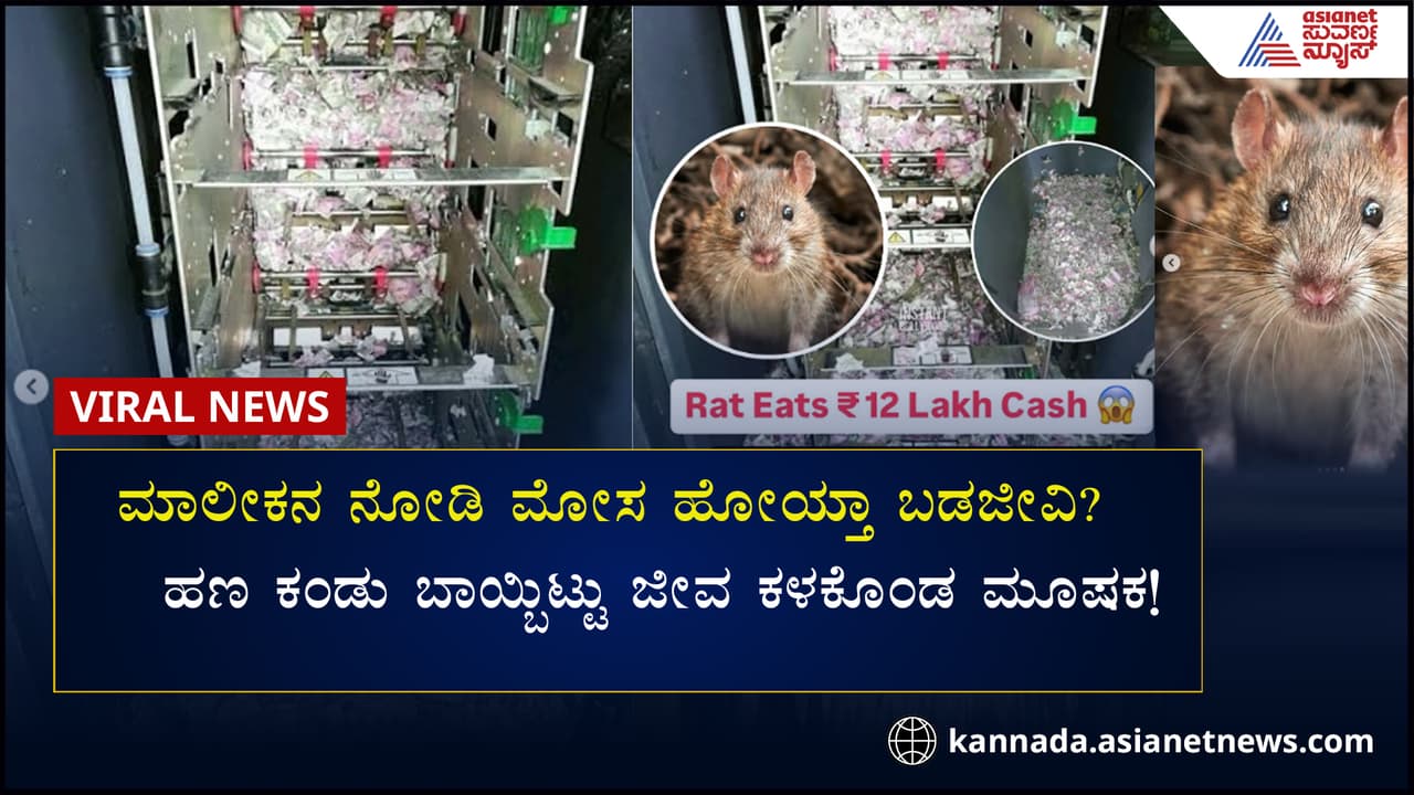 Rodents Run Amok: Rats Destroy Rs 12 Lakh in ATM | 12 ಲಕ್ಷ ಗರಿಗರಿ ನೋಟು ...