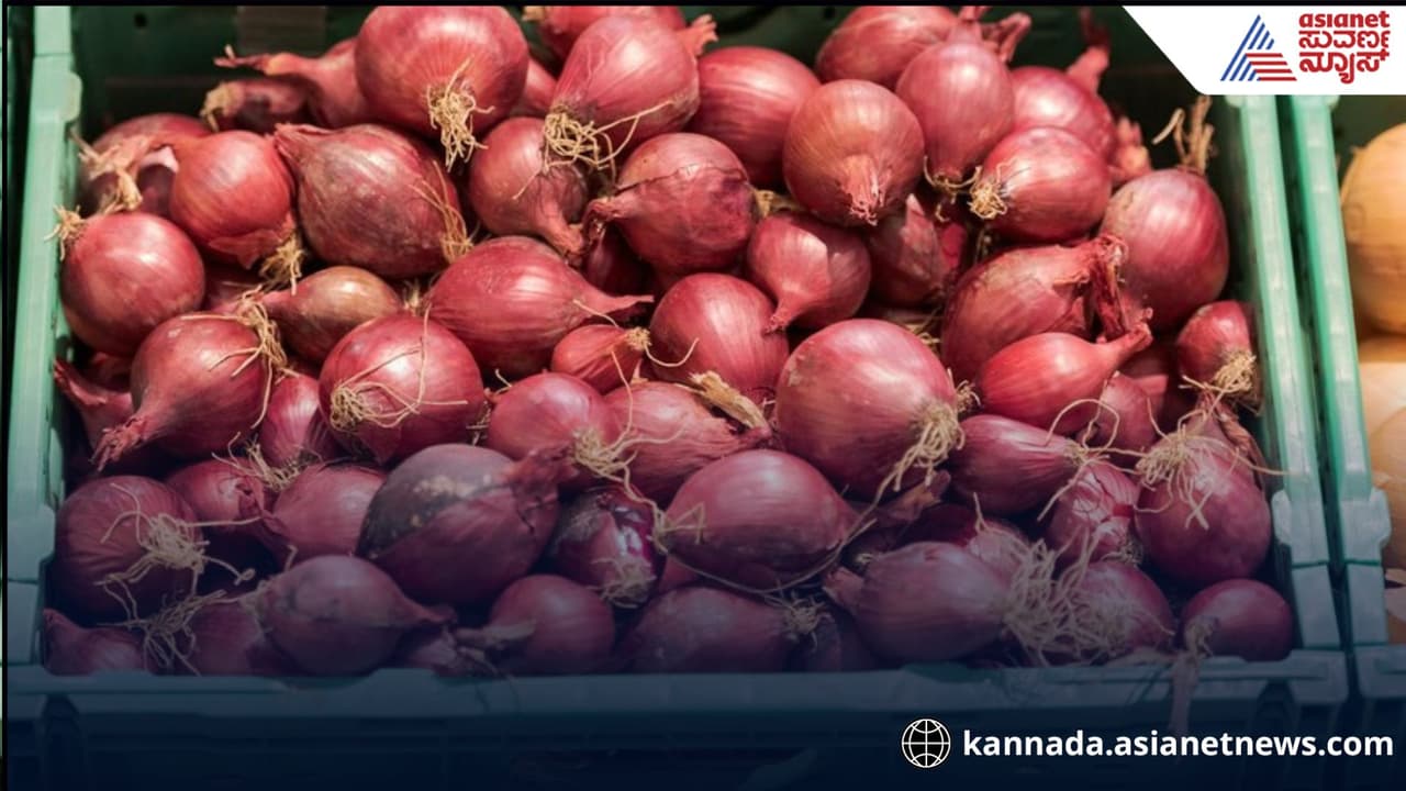 6 Months of Freshness: 5 Simple Ways to Store Onions | ಈರುಳ್ಳಿ 6 ತಿಂಗಳಾದರೂ ಕೆಡುವುದಿಲ್ಲ,ರುಚಿಯೂ ...