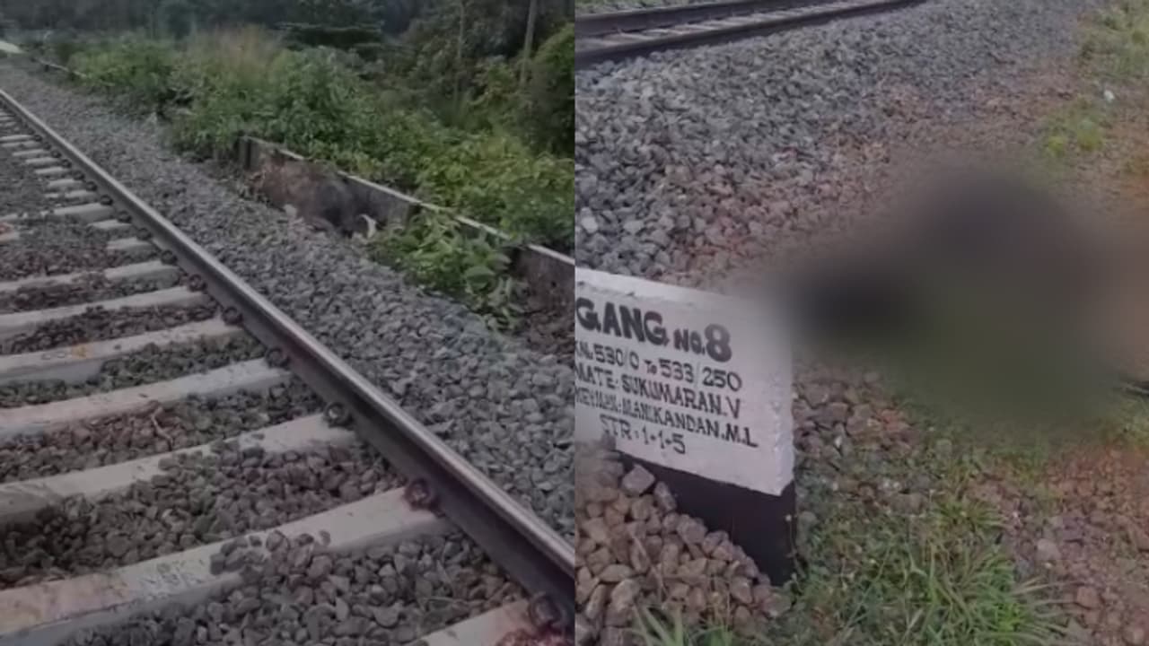 Train accident. | Nine Cows Killed After Being Hit By A Train In ...