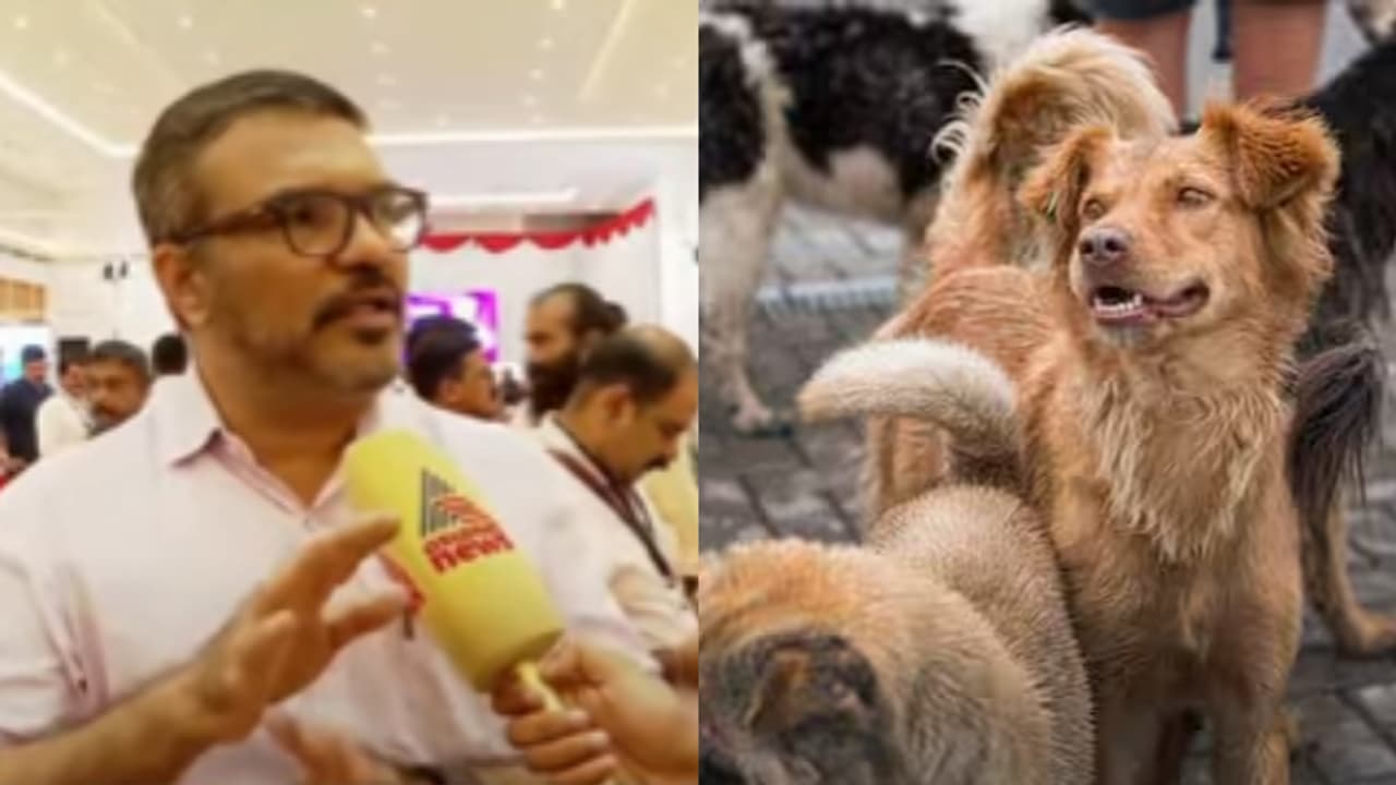 MB Rajesh on Stray Dog issue: എം.ബി രാജേഷിന്റെ പ്രതികരണം | Stray Dog ...