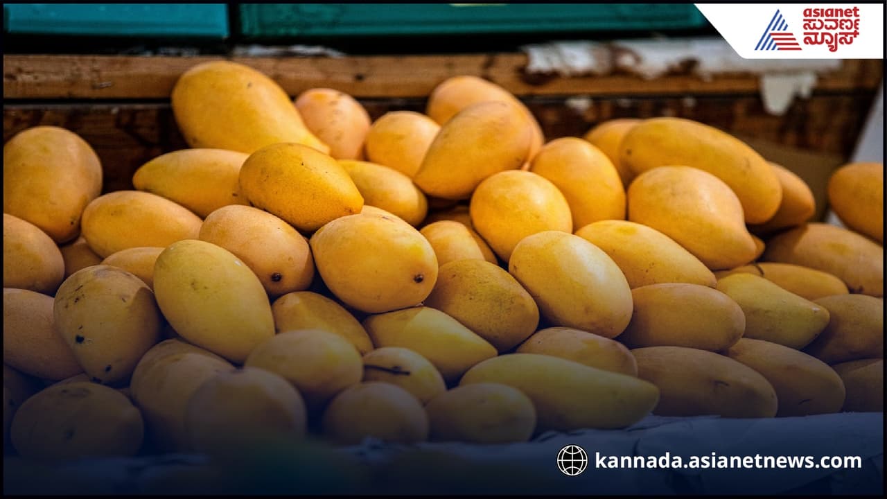 Mango Check: Simple ways to identify naturally ripened vs chemically ...