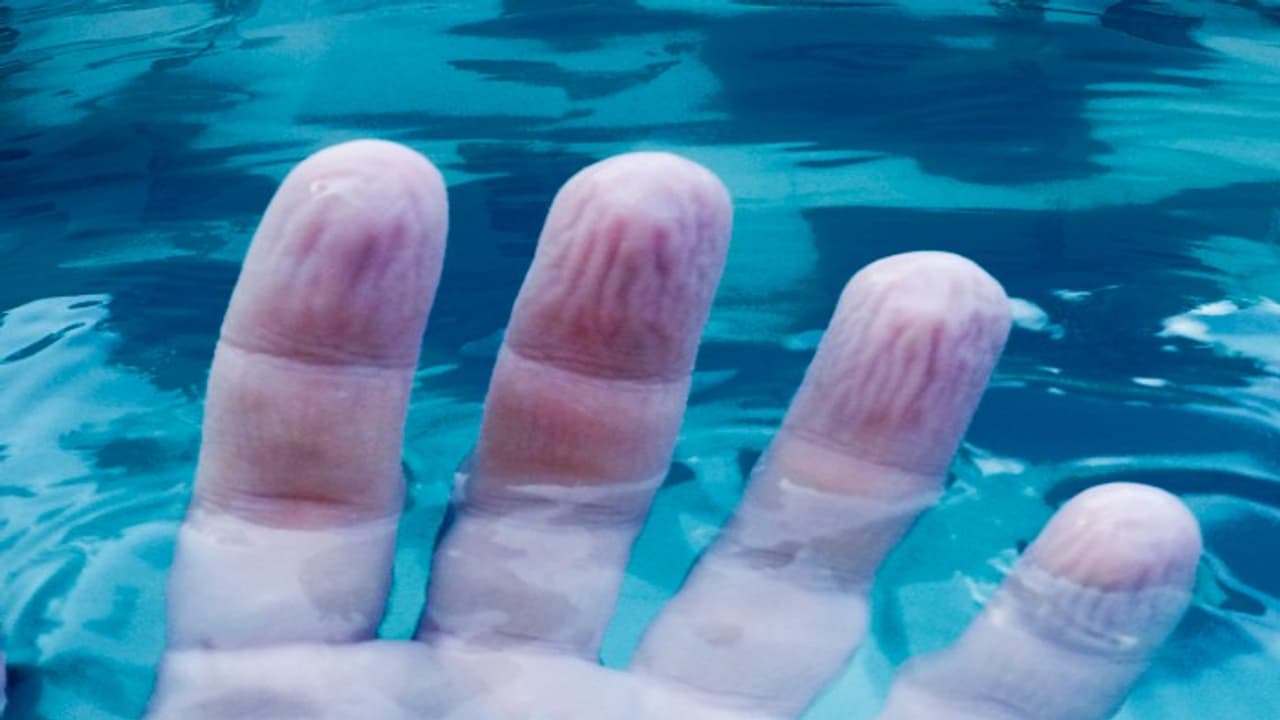 Why your fingers wrinkle in water: Scientists confirm it's your nerves ...