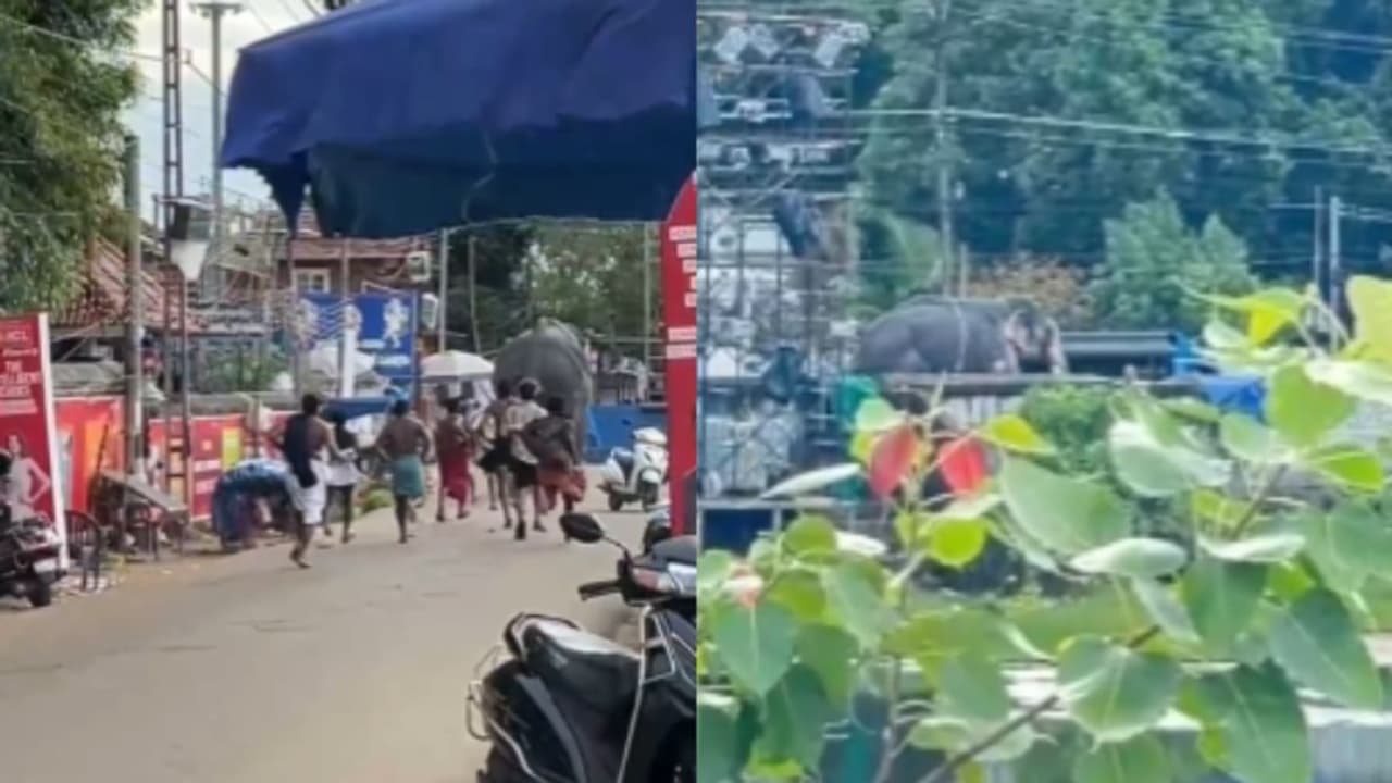 Koodalmanikyam festival elephant Ambadi Mahadevan gone amok കൂട ...