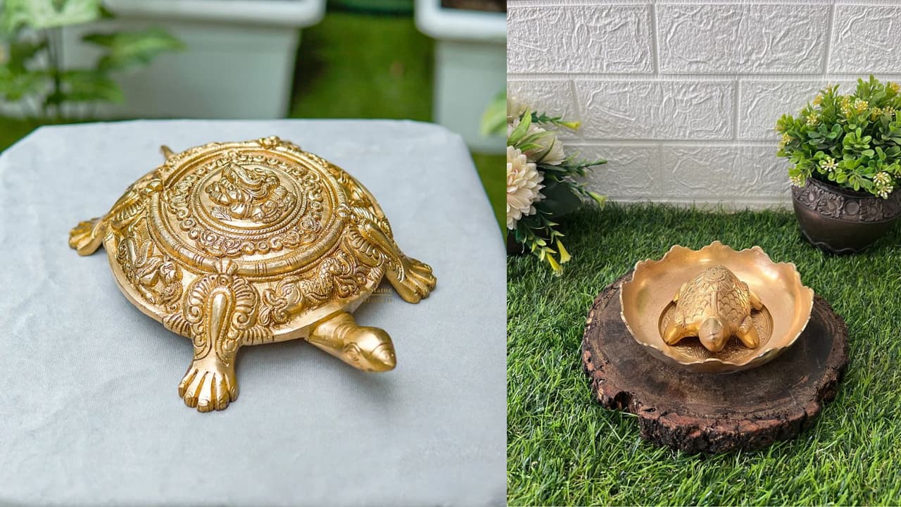 World Tortoise Day 2025: স্বাস্থ্য, ধন ও সম্পর্কে স্থিতিশীলতা বজায় ...