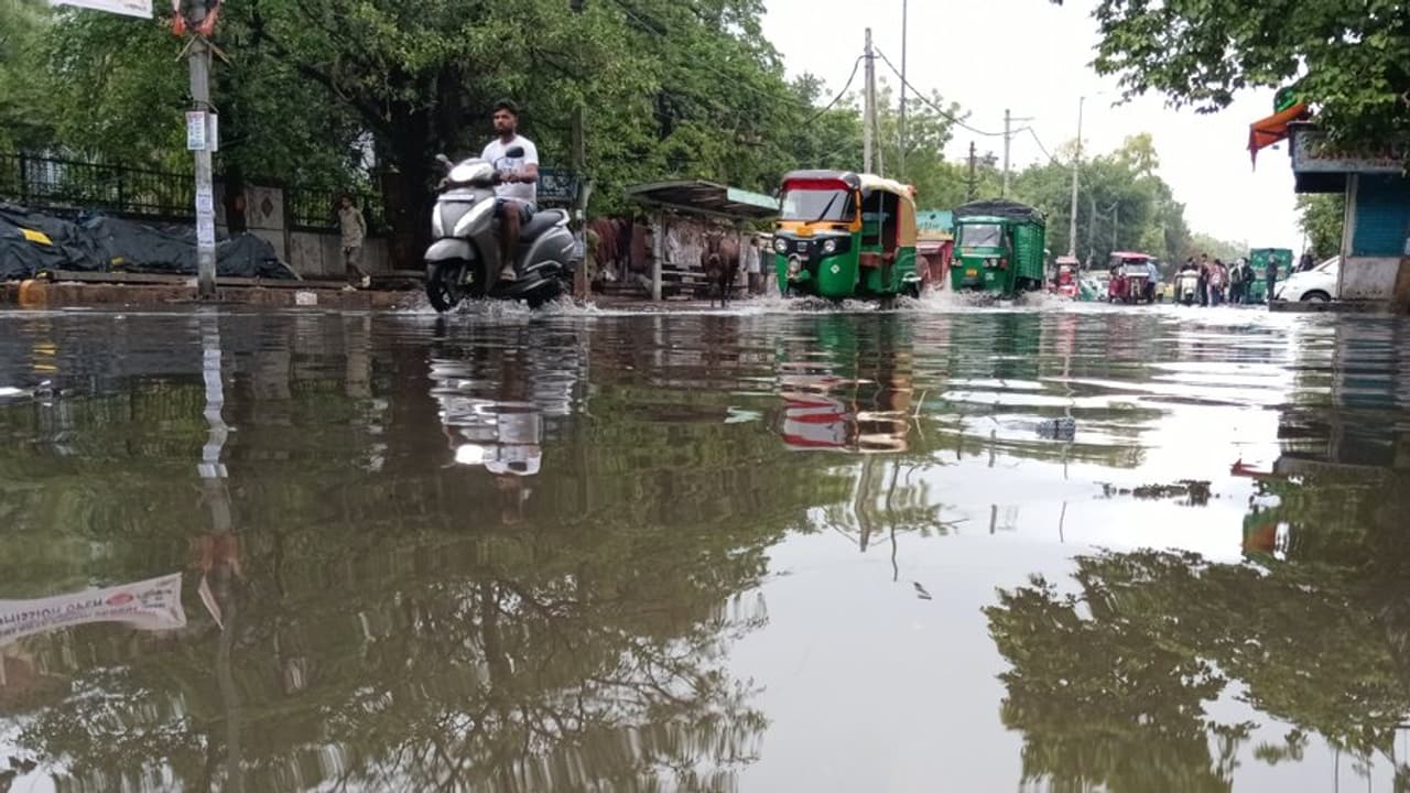 Roads waterlogged, trees uprooted: Heavy rain in Delhi-NCR causes chaos (WATCH) | Asianet Newsable