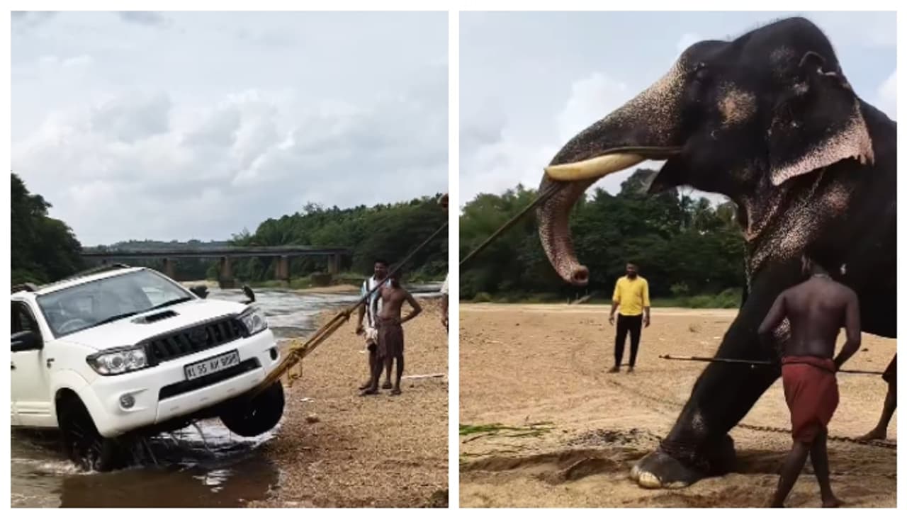 'നമ്മടെ വടംവലിയാണെന്ന് കരുതിയാ മതി'; പുഴയില്‍ കുടുങ്ങിയ കാര്‍ വലിച്ച് ...