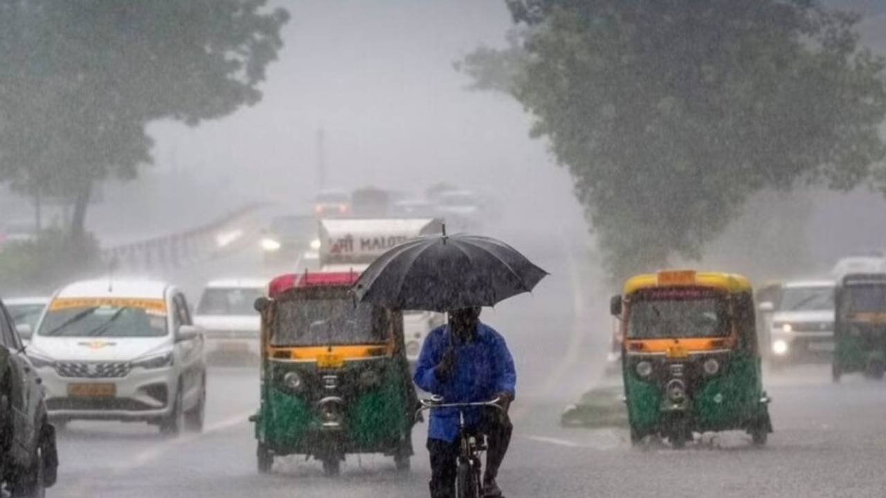 Kerala Weather, June 1: Sunday brings light showers and humid skies ...