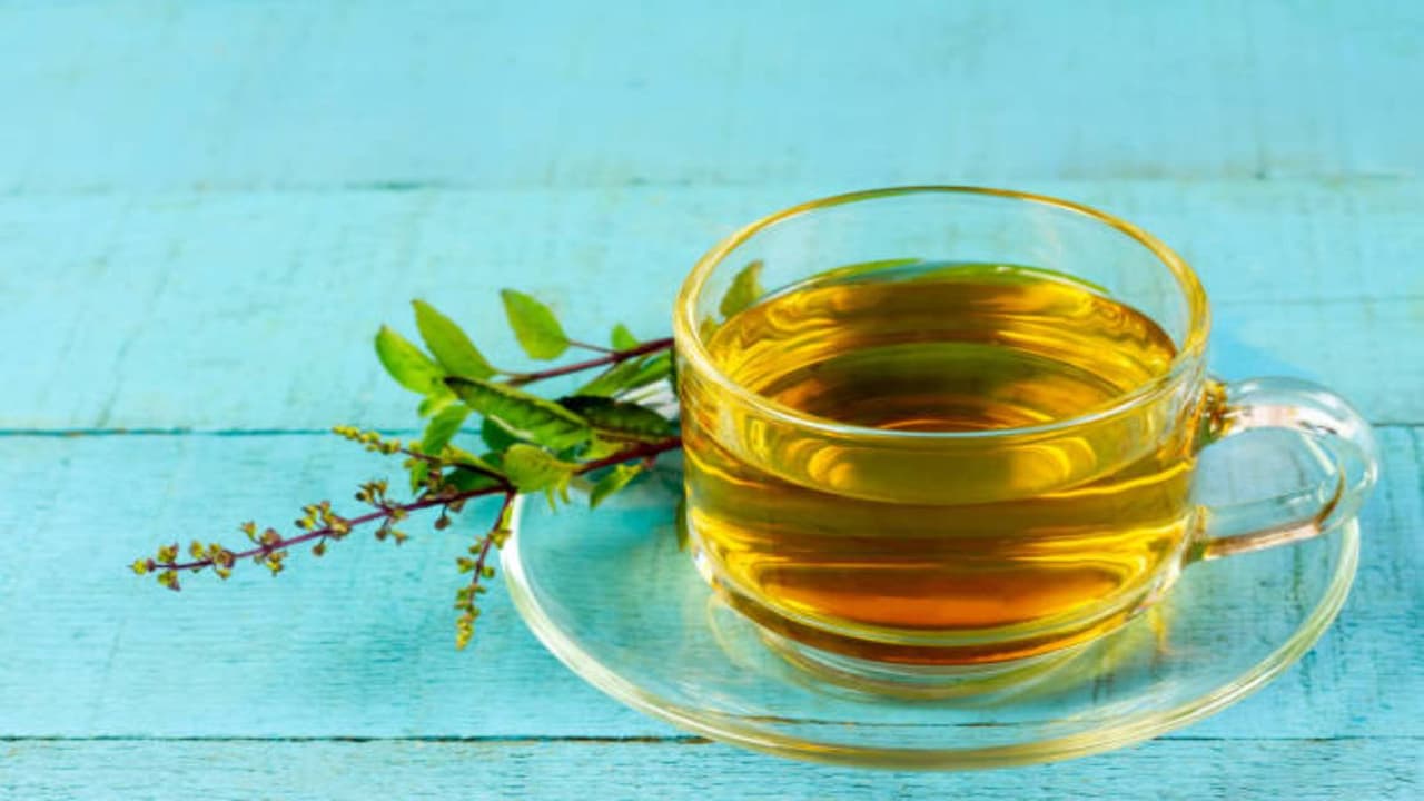 Tulsi Water in the Morning A Simple Habit With Powerful Health Benefits ...