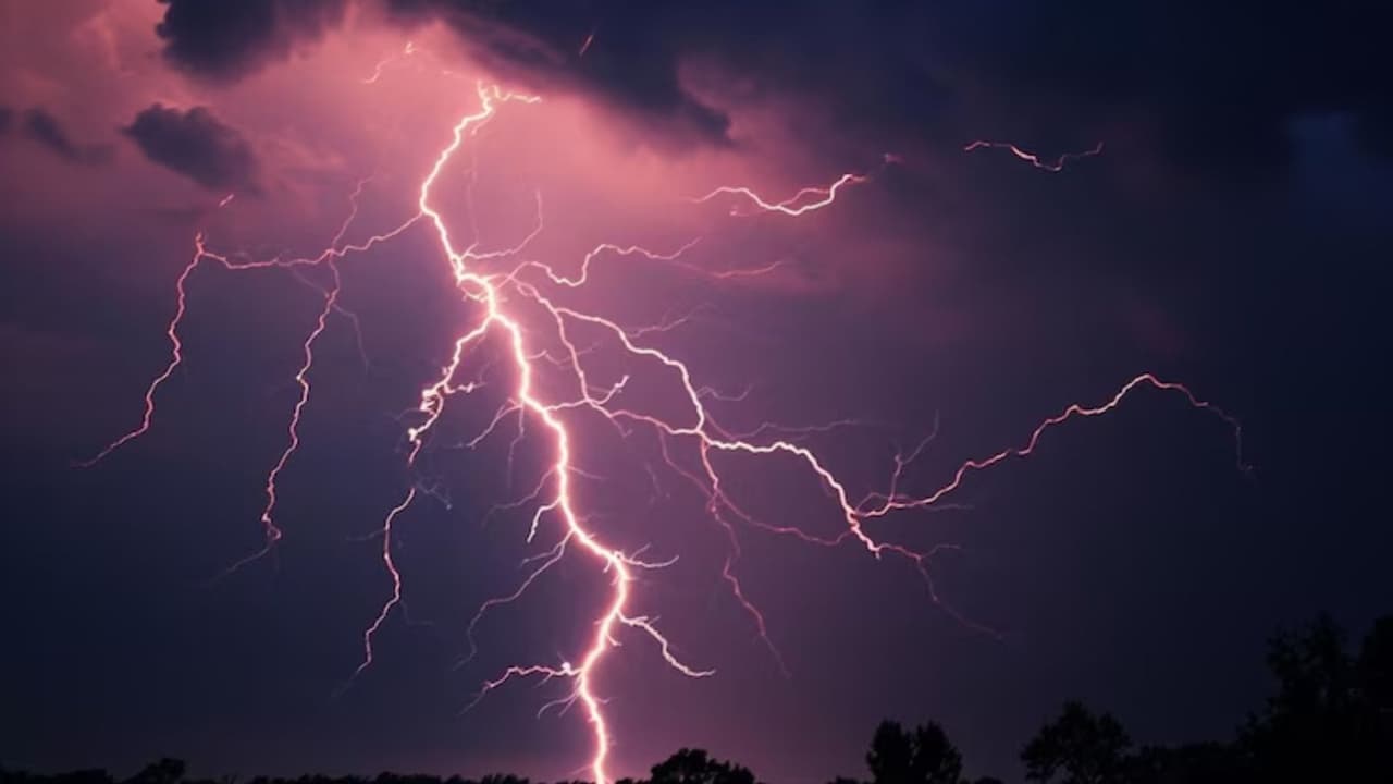 Cuddalore lightning strike deaths : சாராயம் குடித்து செத்தா 10 லட்சம் ...