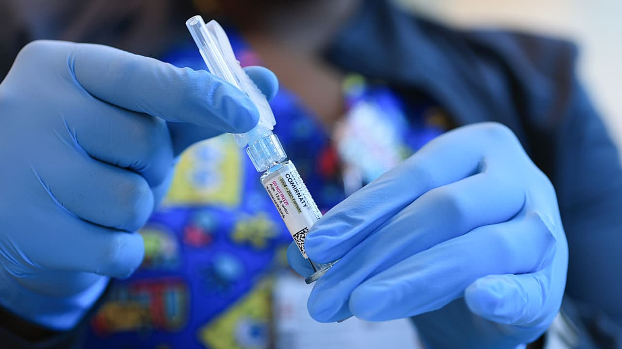 BREAKTHROUGH! Scientists discover Llama antibodies that can fight COVID ...