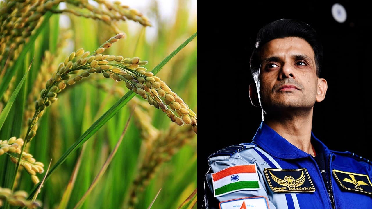 Seeds of the future: Six Kerala crops join Axiom-4 for pioneering space ...