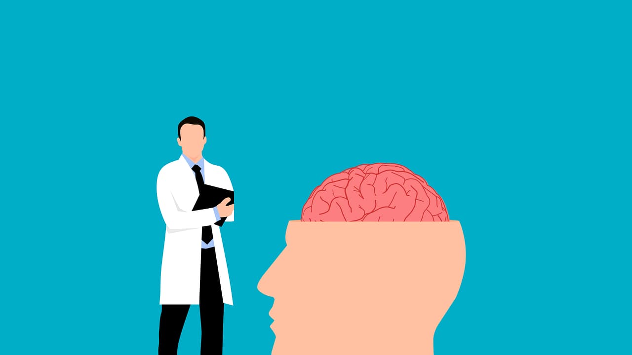 PhD Guide: How to choose the right university for your doctoral studies ...