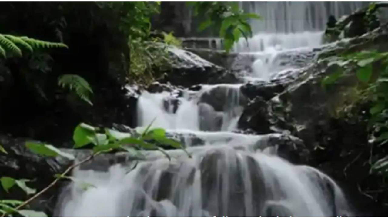 Explore India's Majestic Waterfalls This Monsoon: A Must-See Travel ...