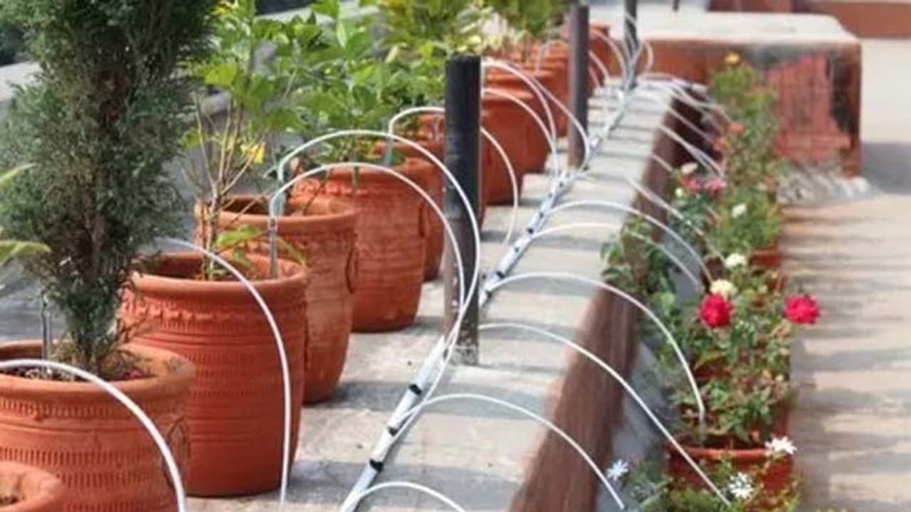 Gardening Guide: 7 smart tech tools to upgrade your home Garden | Asianet Newsable