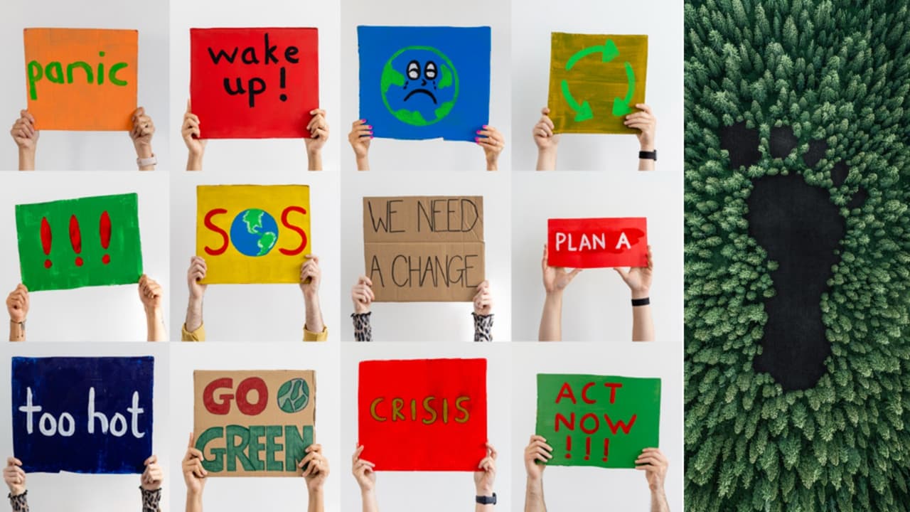 Bridging the climate gap: Why 2035 targets matter for net-zero ...