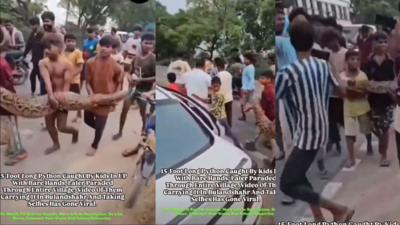 Python Rescue: 15 ಅಡಿ ಉದ್ದದ ಹೆಬ್ಬಾವು ಹಿಡಿದು ಗ್ರಾಮದಲ್ಲಿ ಮೆರವಣಿಗೆ ಮಾಡಿದ ಮಕ್ಕಳು | Shocking Moment ...