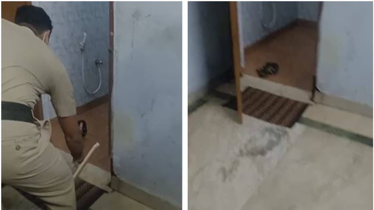 പരിയാരം മെഡിക്കൽ കോളേജ് കാർഡിയോളജി വിഭാഗത്തിൽ മൂർഖൻ പാമ്പിനെ കണ്ടെത്തി | Cobra Snake Found In ...