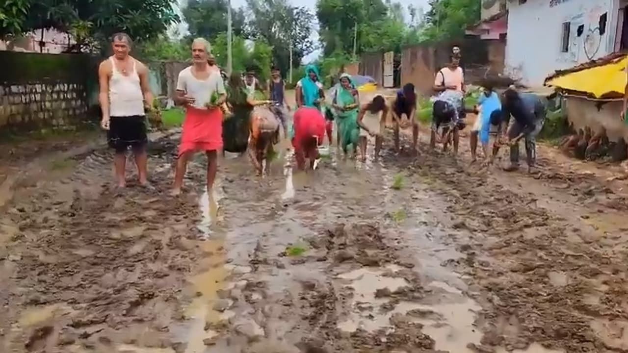 Fed up MP villagers plant paddy on muddy road to protest delay in road ...