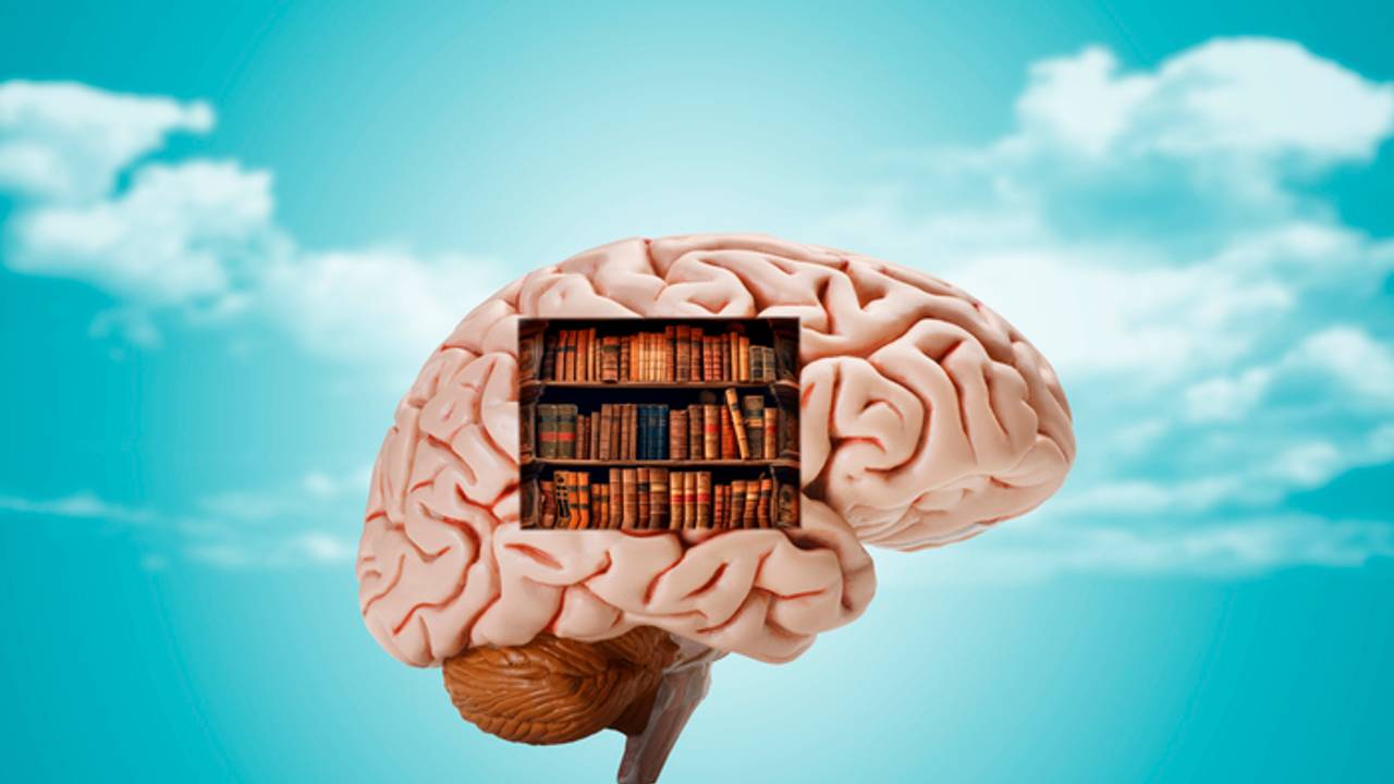 Why You Forget Things Even If Your Brain Has Room Here's What ...