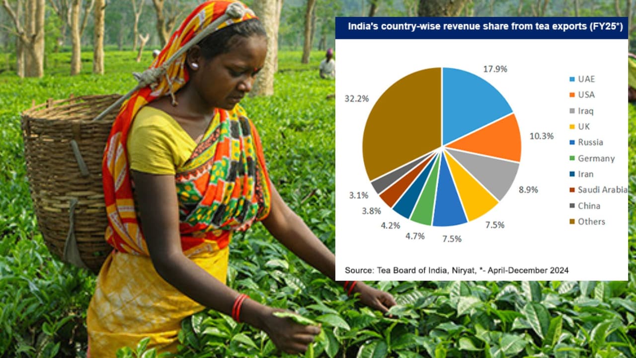 ಭಾರತದ ಚಹಾಕ್ಕೆ ಬೇಡಿಕೆ ಇರುವ ಟಾಪ್‌ 5 ರಾಷ್ಟ್ರಗಳು, 64,756 ಕೋಟಿ ಆದಾಯ! | India ...