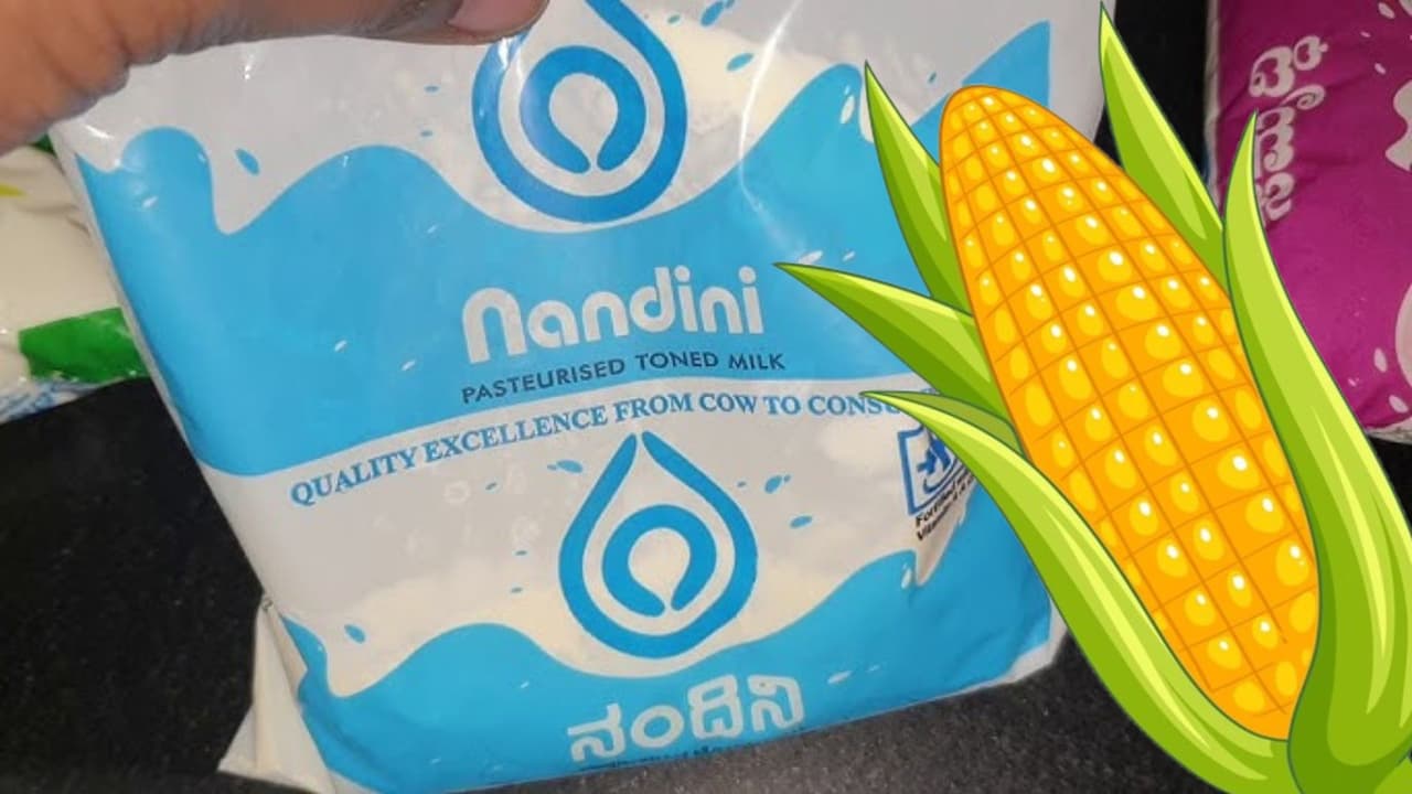 ಭಾರತದಲ್ಲೇ ಮೊದಲು, ಹಾಲು ಪ್ಯಾಕಿಂಗ್‌ಗೆ ಮೆಕ್ಕೆಜೋಳದ ಪ್ಯಾಕೆಟ್‌, ಪೈಲಟ್‌ ಯೋಜನೆ ...