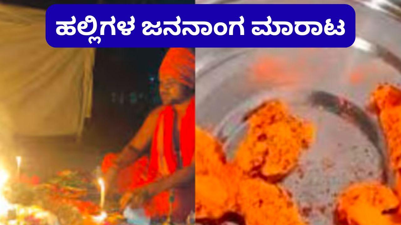 ಹಲ್ಲಿಗಳ ಪ್ರೈವೇಟ್ ಪಾರ್ಟ್ ಮಾರಾಟ ಮಾಡುತ್ತಿದ್ದ 38 ವರ್ಷದ ಜ್ಯೋತಿಷಿಯ ಬಂಧನ ...