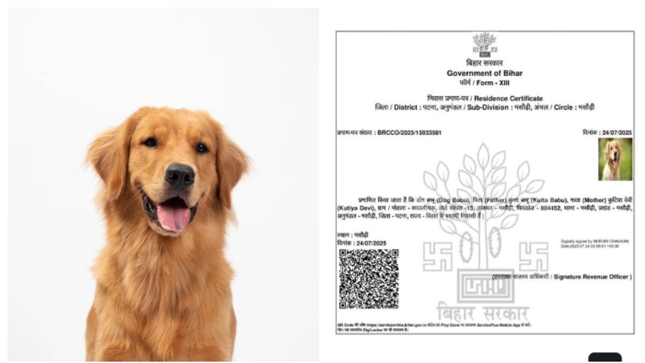 'കുത്ത ബാബു'വിന്‍റെ മകന്‍ 'ഡോഗ് ബാബു'വിന് ബീഹാറില്‍ താമസ സര് ...