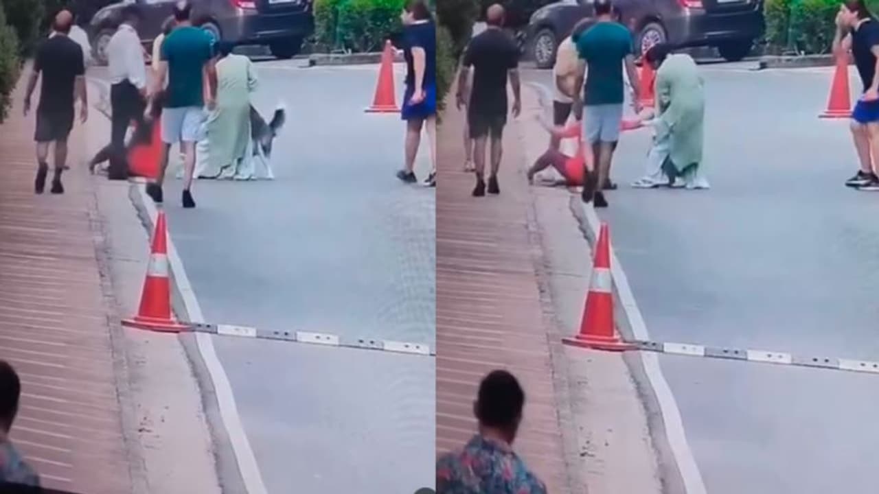 Dog attack video: ವಾಕಿಂಗ್ ಹೋಗ್ತಿದ್ದ ಮಹಿಳೆ ಮೇಲೆ ಸಾಕುನಾಯಿಯಿಂದ ಭೀಕರ ದಾಳಿ ...