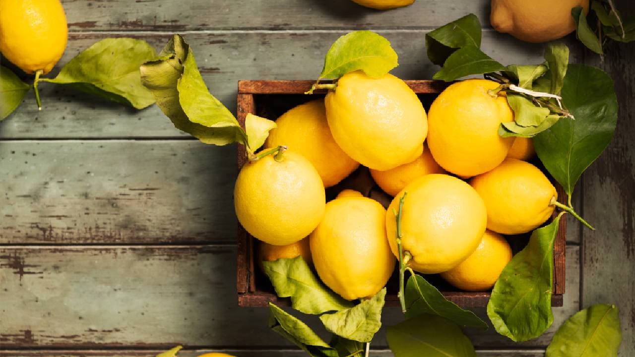 Lemon : எலுமிச்சை நல்லது.. ஆனா இந்ந '7' உணவுகளோட சேர்த்தா ஆபத்துல ...