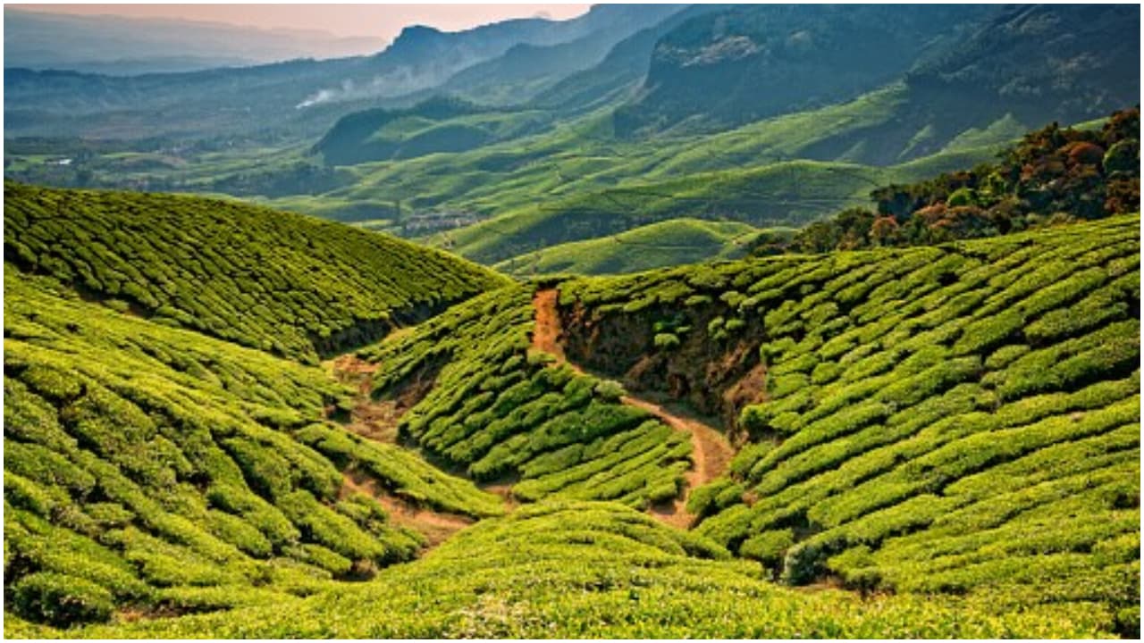 Munnar to Coorg: 5 places you can visit in India THIS September ...