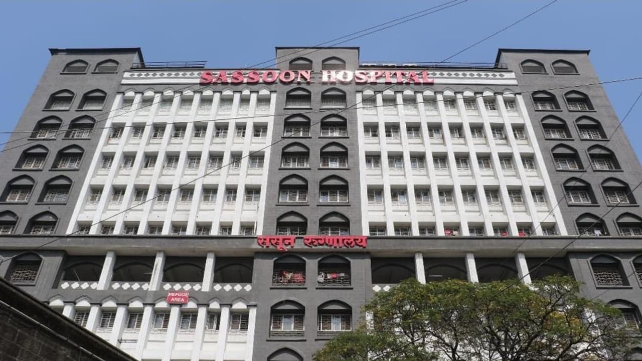 Sassoon Hospital Pune Bharti 2025: ससून रुग्णालयात 354 पदांसाठी ...