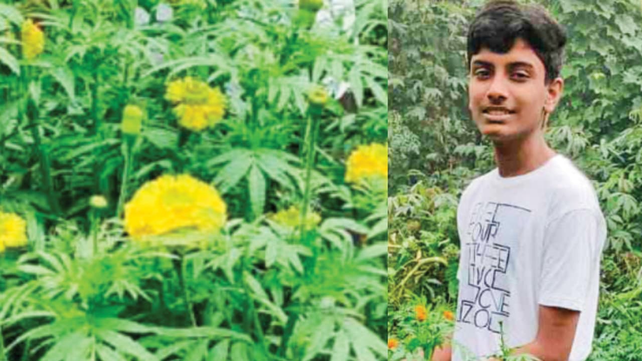 ലോക്ഡൗണ്‍ കാലത്താണ് അതുലിന്റെ തുടക്കം, ഇന്ന് പുരസ്കാര നേട്ടം വരെ ...