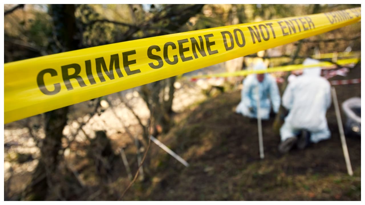 UK Murder: नदीत मृतदेह; मायक्रोसॉफ्टच्या माजी महिला अधिकाऱ्याची हत्या ...