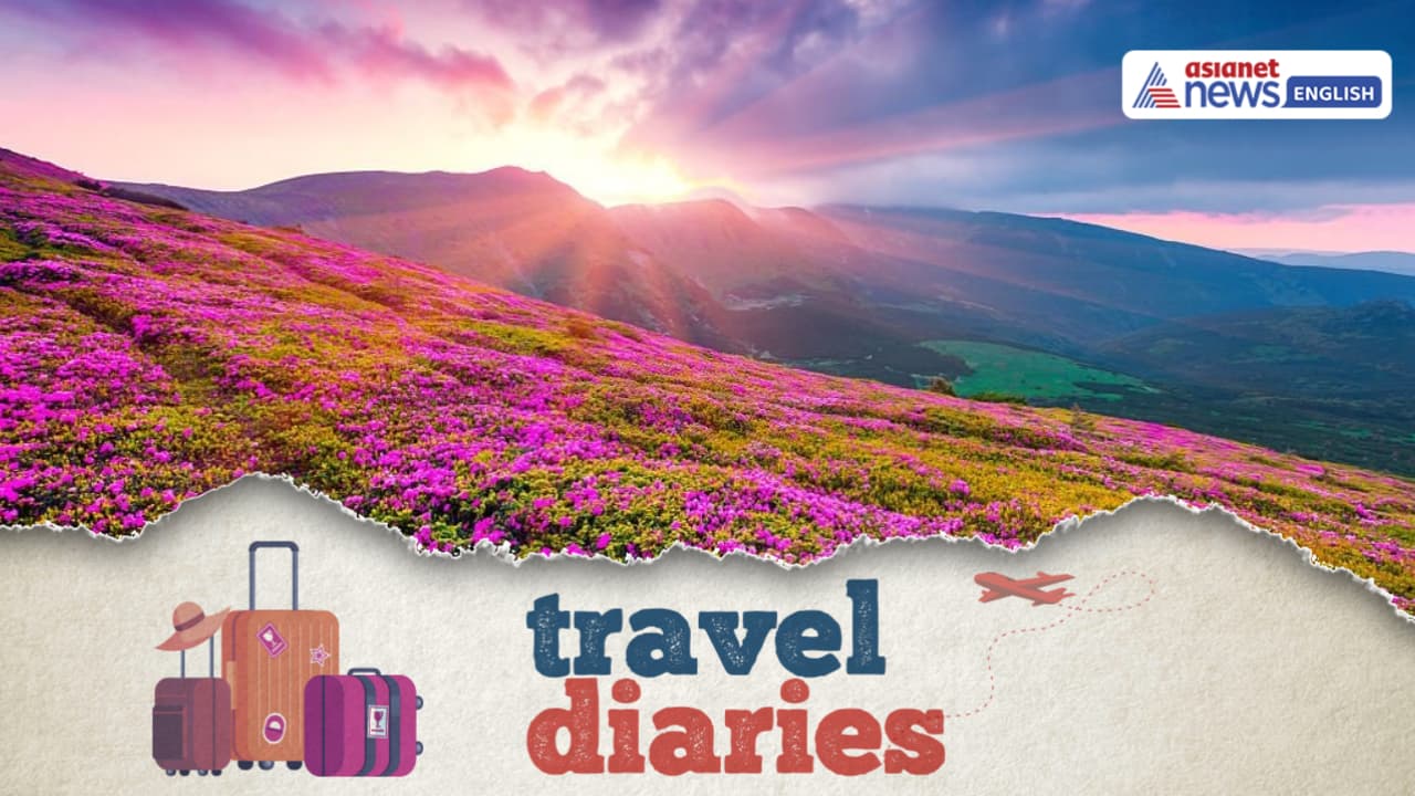 Travel Diaries | Valley of Flowers Trek: A Magical Himalayan Journey ...
