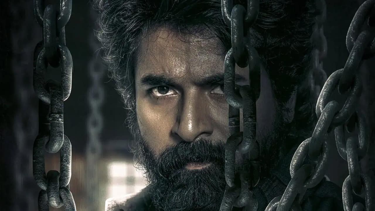 SivaKarthikeyan:காந்தாரா டூ கோலிவுட்! சிவகார்த்திகேயனை சுற்றும் ...