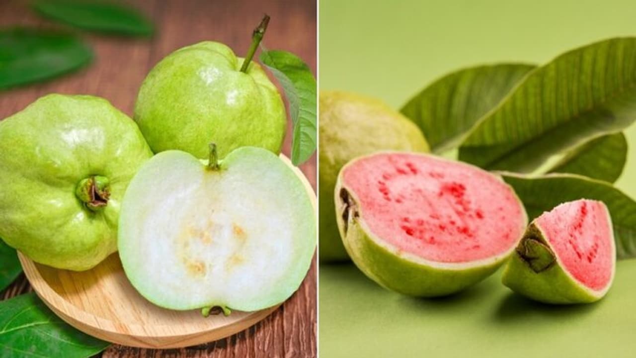 White Guava vs. Red Guava: Which is the Healthiest Choice for You? | Asianet Newsable