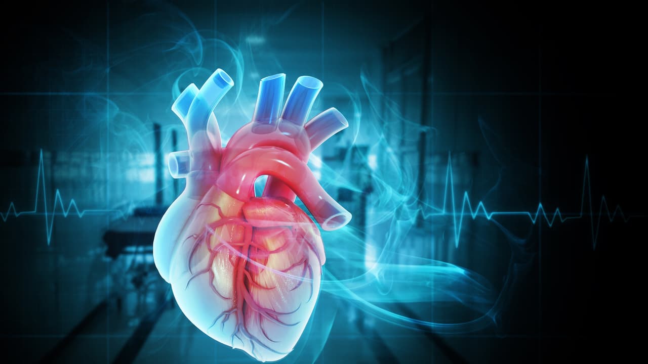 Heart Attacks May Be Infectious: Hidden Bacteria in Arteries Trigger ...