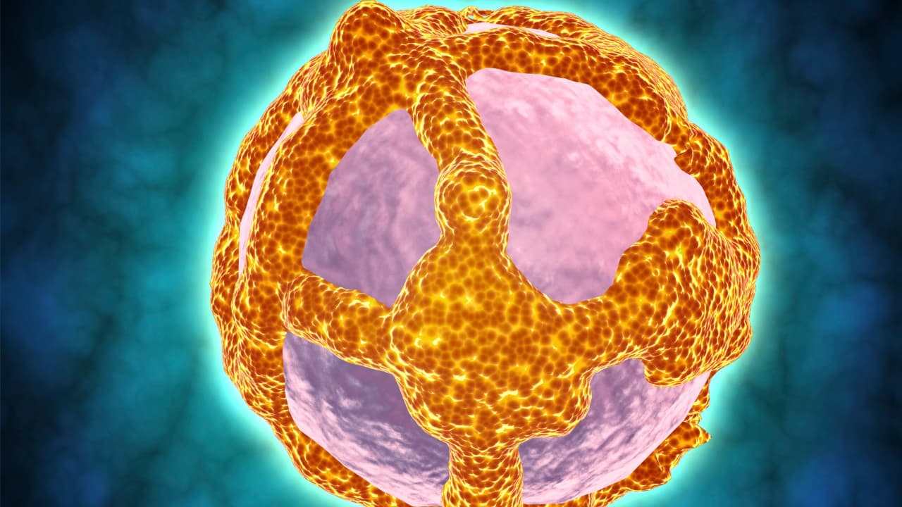 Climate Change Threatens the Ocean’s Smallest but Most Important ...