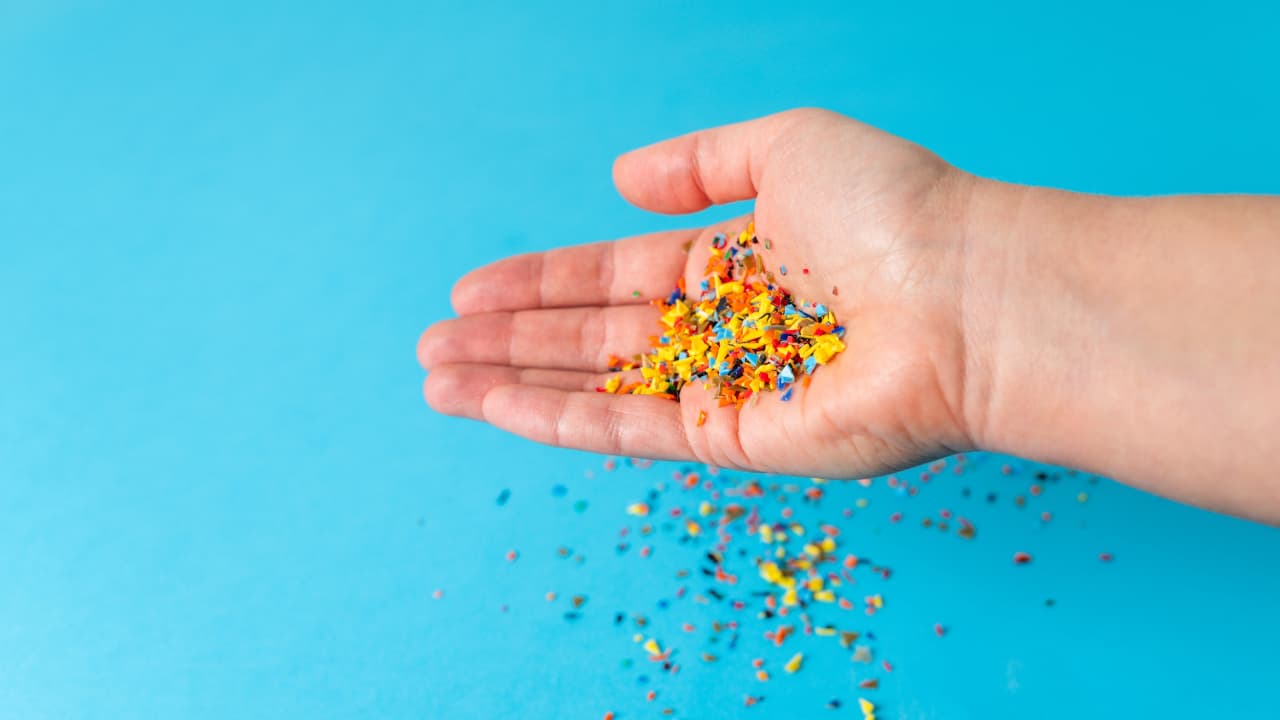 Microplastics Are Flooding the Gulf of Mexico and Threatening Marine ...