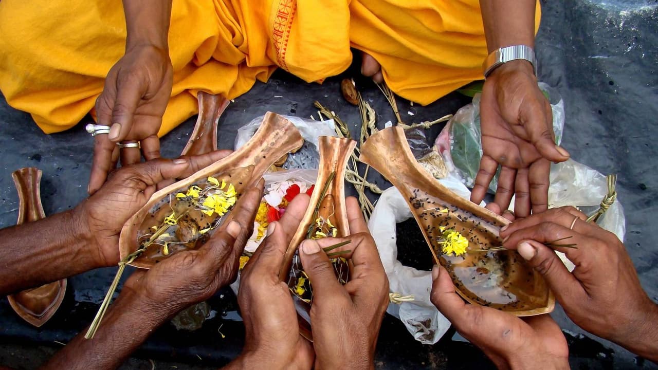 Pitru Paksha 2025: कब है पितृ पक्ष की मातृ नवमी, इस दिन किसका श्राद्ध ...
