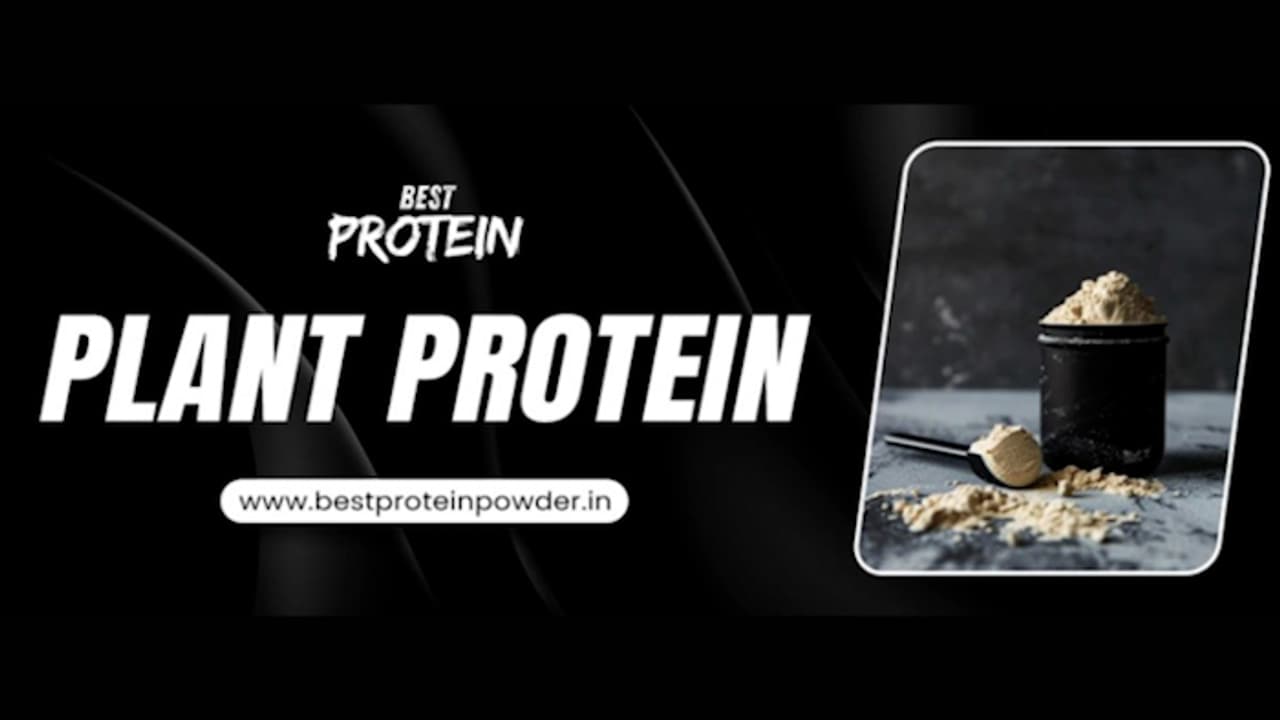 How Plant Protein Helps Boost Weight Loss and Support Muscle Gain ...