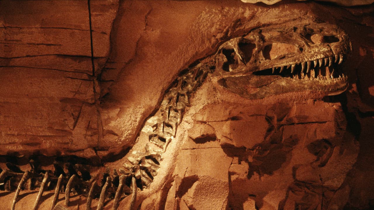 Hidden for 125 Years, Welsh Fossil Revealed as Newtonsaurus, a Large ...